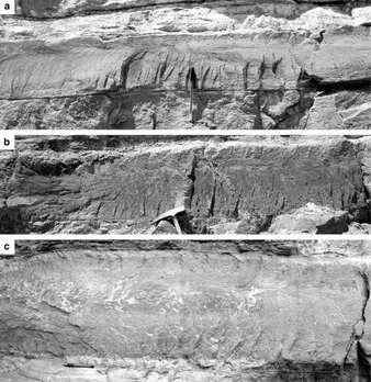 Geotecnia y el Control de Fracturas durante la Construcción